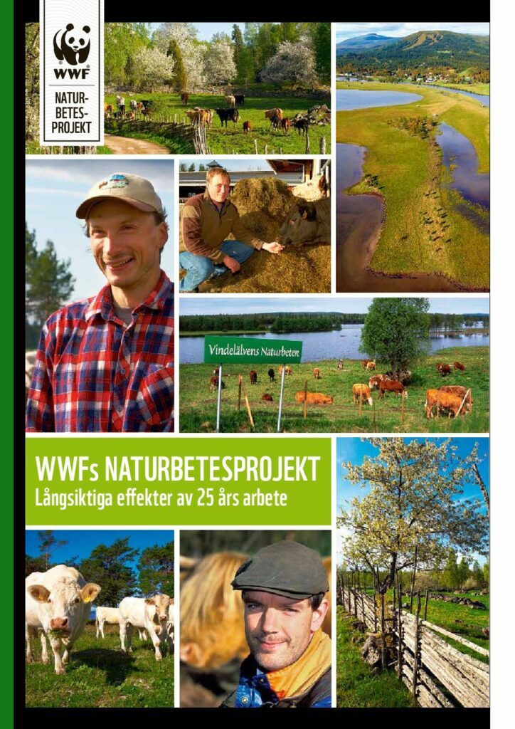 WWFs Naturbetesprojekt 2015 - Långsiktiga effekter av 25 års arbete ...