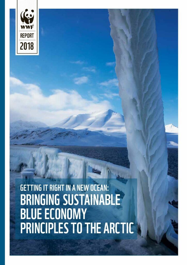 Bringing sustainable blue economy principles to the Arctic ...