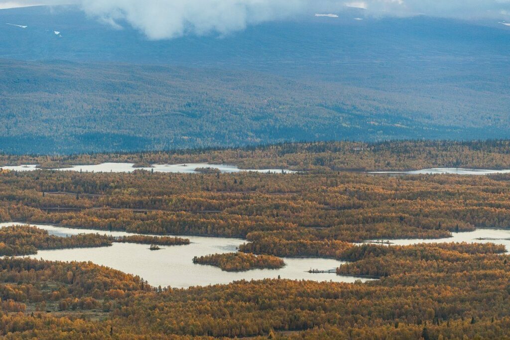 Vindeln nytt biosfärområde - Världsnaturfonden WWF