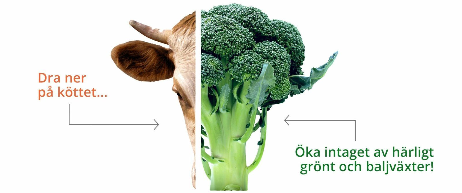 One Planet Plate - Hållbara måltider - Världsnaturfonden WWF