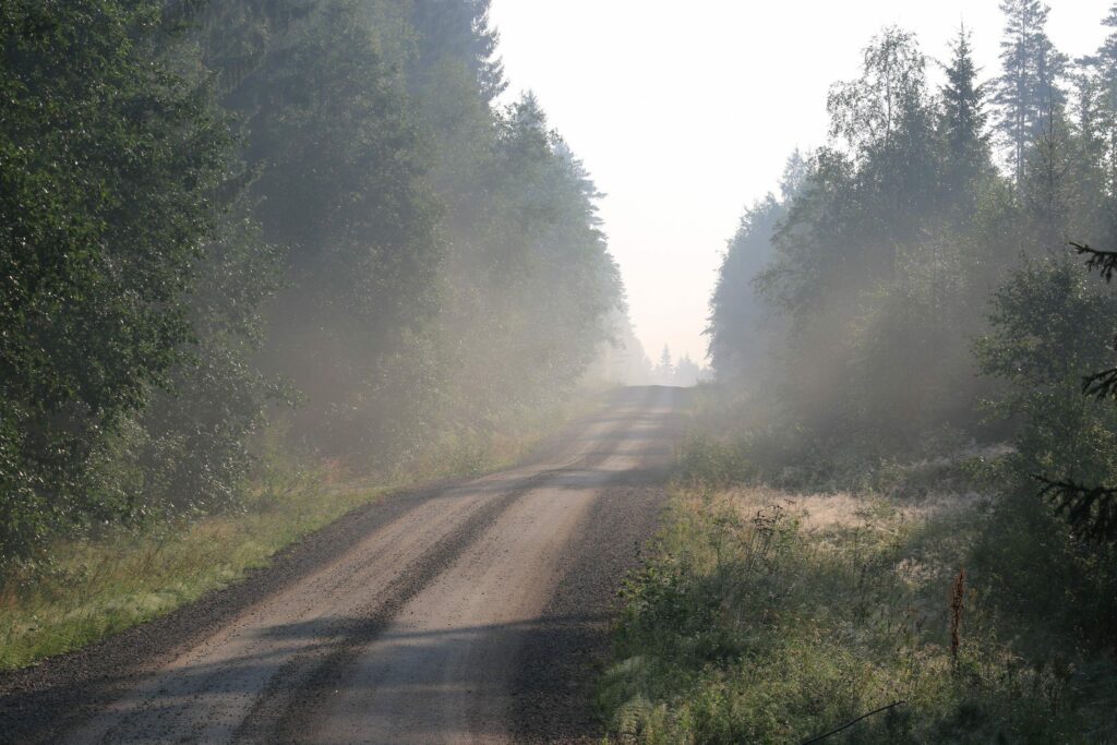Svensk skog - Världsnaturfonden WWF