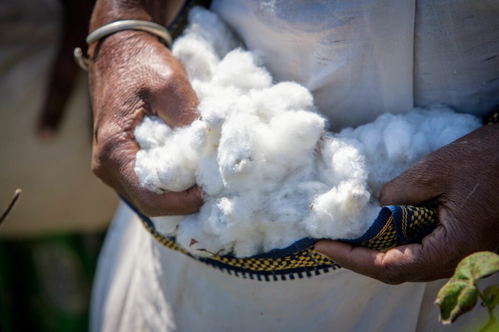 Scorecard för hållbar bomull - Världsnaturfonden WWF