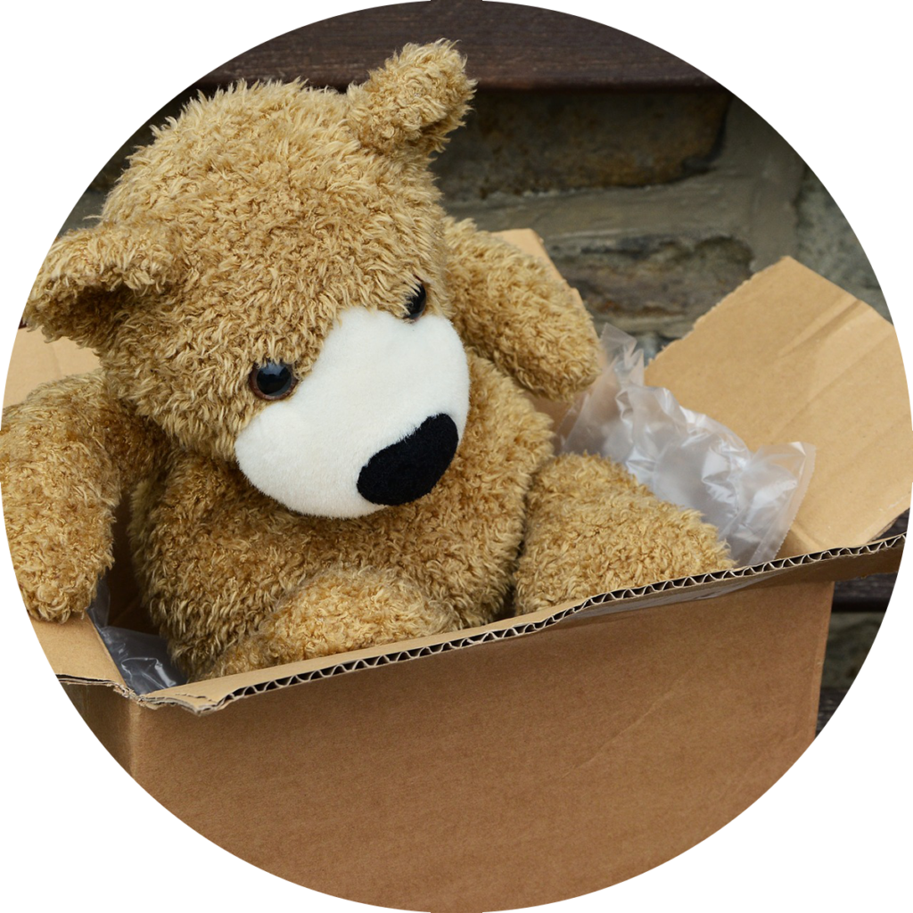 Kamrat i kartong - Världsnaturfonden WWF