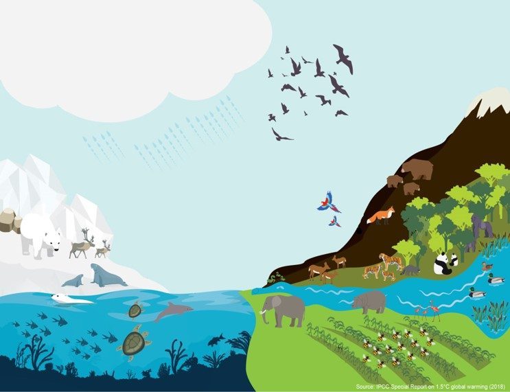 Biologisk mångfald för företag - Världsnaturfonden WWF