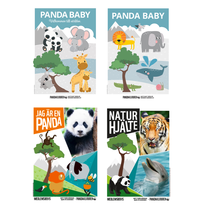 Stöd WWF - Pandaklubben – WWF för alla barn och barnbarn!
