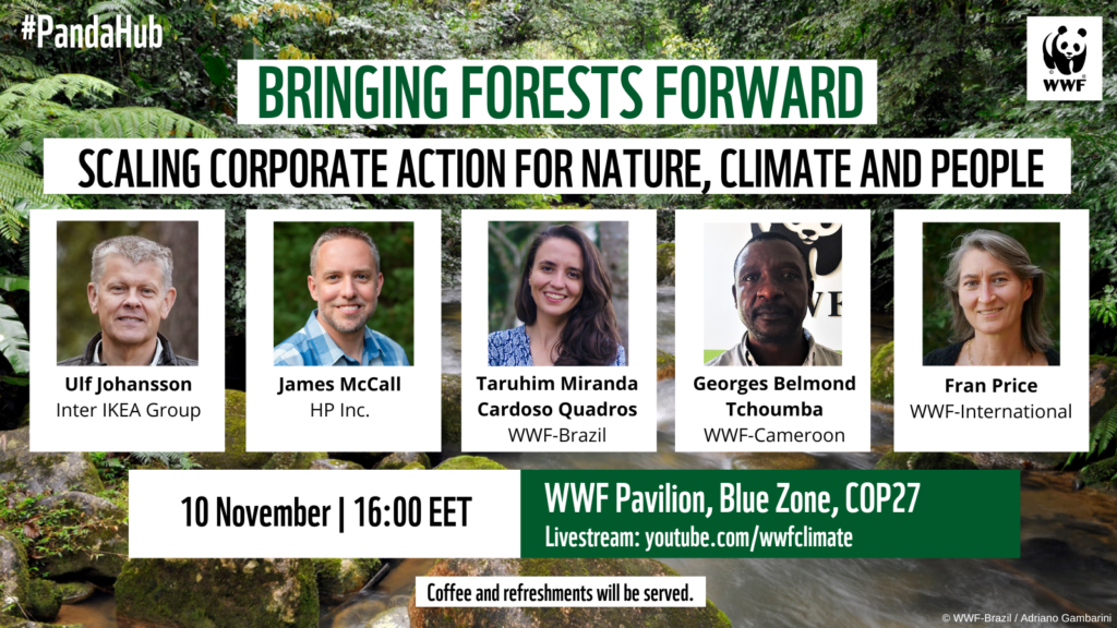 WWF COP27 livestream event: Bringing Forest Forward - Världsnaturfonden WWF