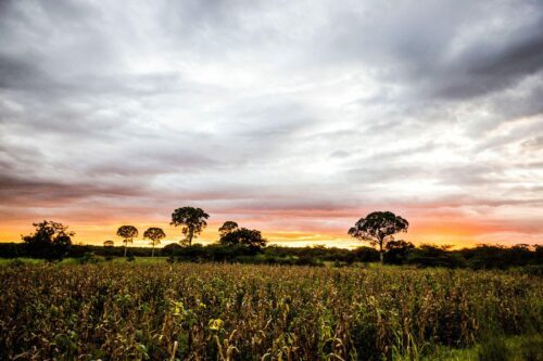 Ordlista: Vad är växthuseffekten? | WWF