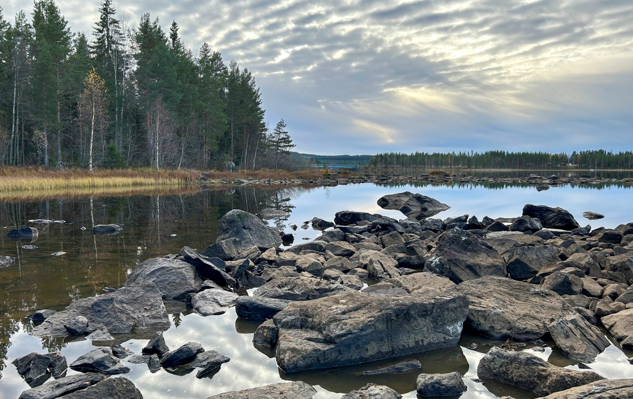 Miljöanpassning av vattenkraft i Ljungan - Världsnaturfonden WWF