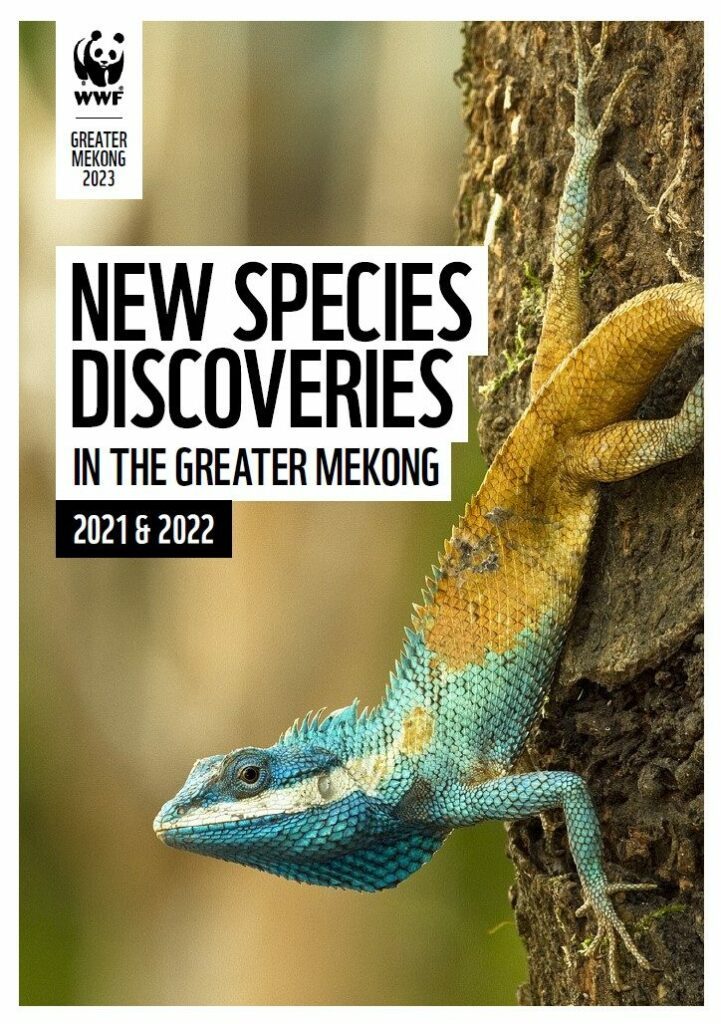 New Species Discoveries in the Greater Mekong 2021 & 2022 - Världsnaturfonden WWF