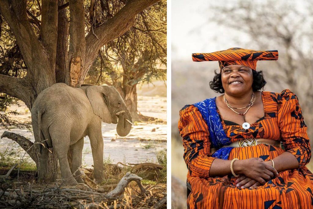 Namibia visar vägen - Världsnaturfonden WWF