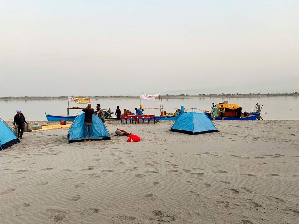 Framgång för sällsynt floddelfin - Världsnaturfonden WWF