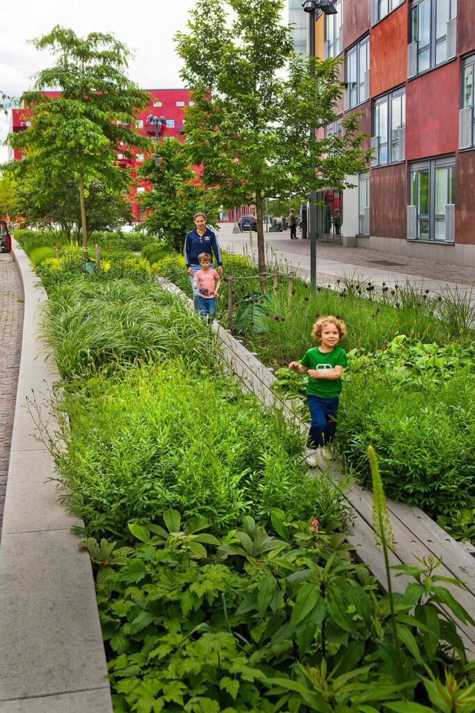 Naturens egna lösningar - Världsnaturfonden WWF