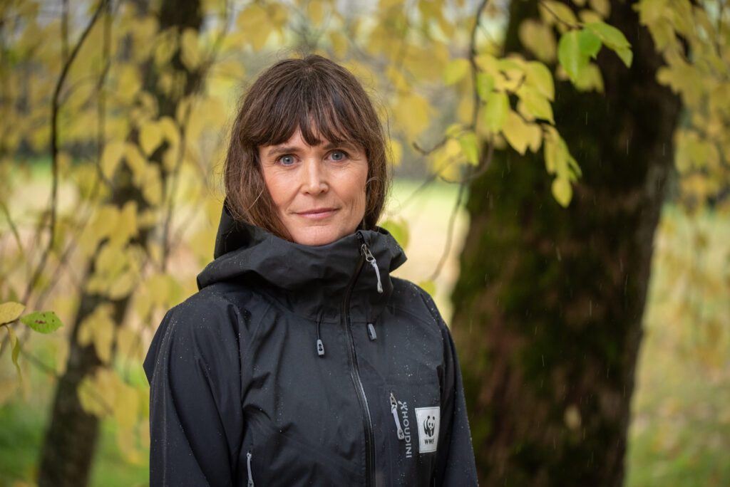 Elin Larsson: Så mycket grönare blev näringslivet under 2023 ...