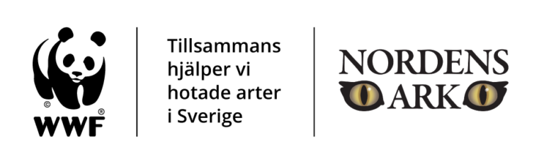 Hjälp Sveriges Igelkottar - Världsnaturfonden WWF