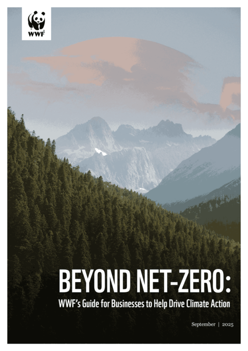WWF Beyond Net Zero - Världsnaturfonden WWF