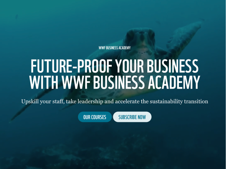 WWF Business Academy – stärk företagets hållbarhet | WWF